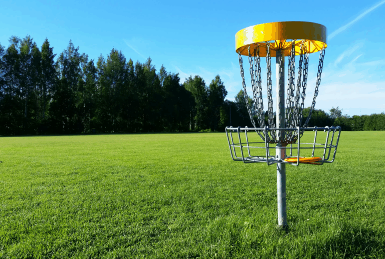 Everything You Need to Know About the Thrilling Frisbee Golf Hole
