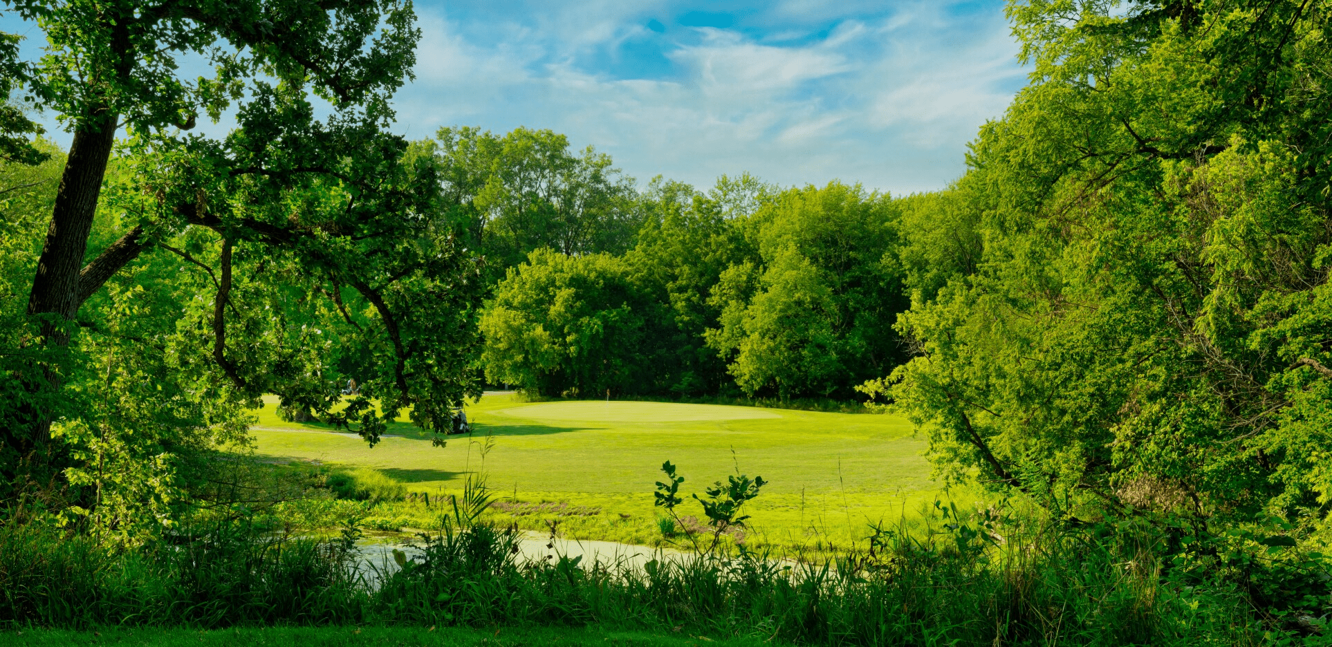 Exploring Edgebrook Golf Course: Chicago's Scenic Public Green